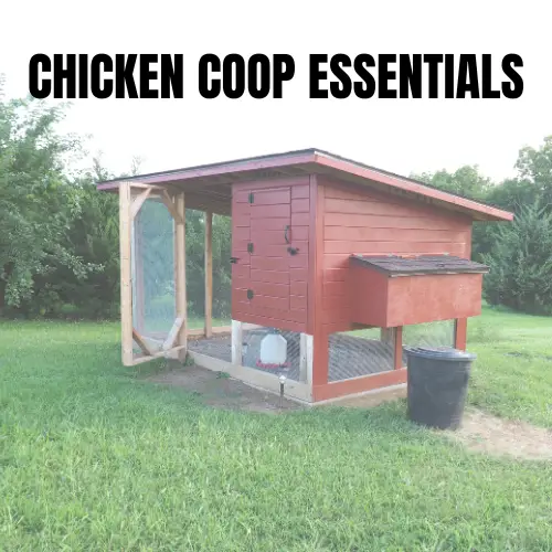 15 Chicken Coop Essentials