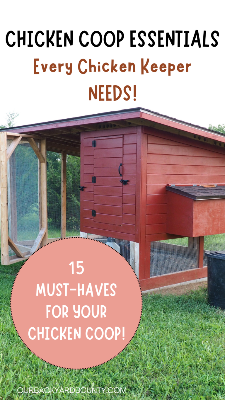 15 Chicken Coop Essentials