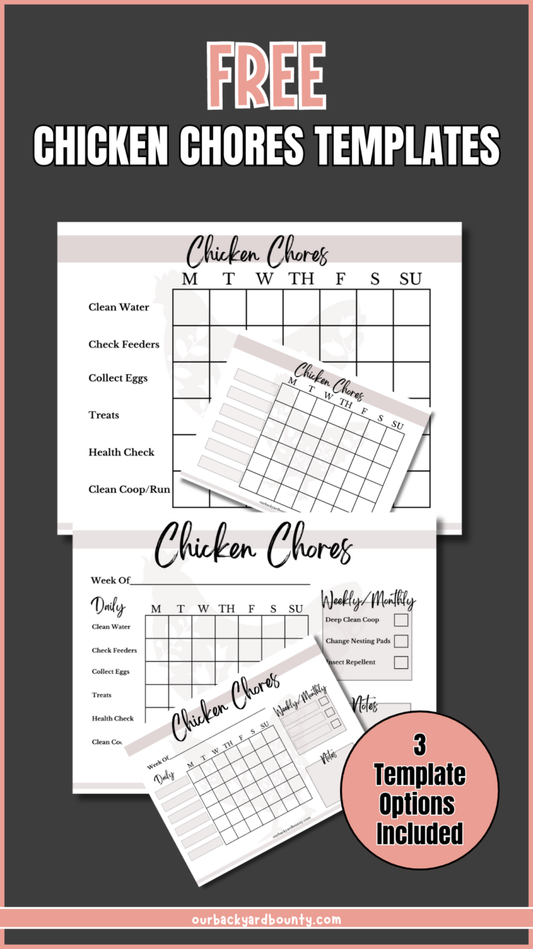 Starlight Green Egger - Complete Chicken Breed Guide