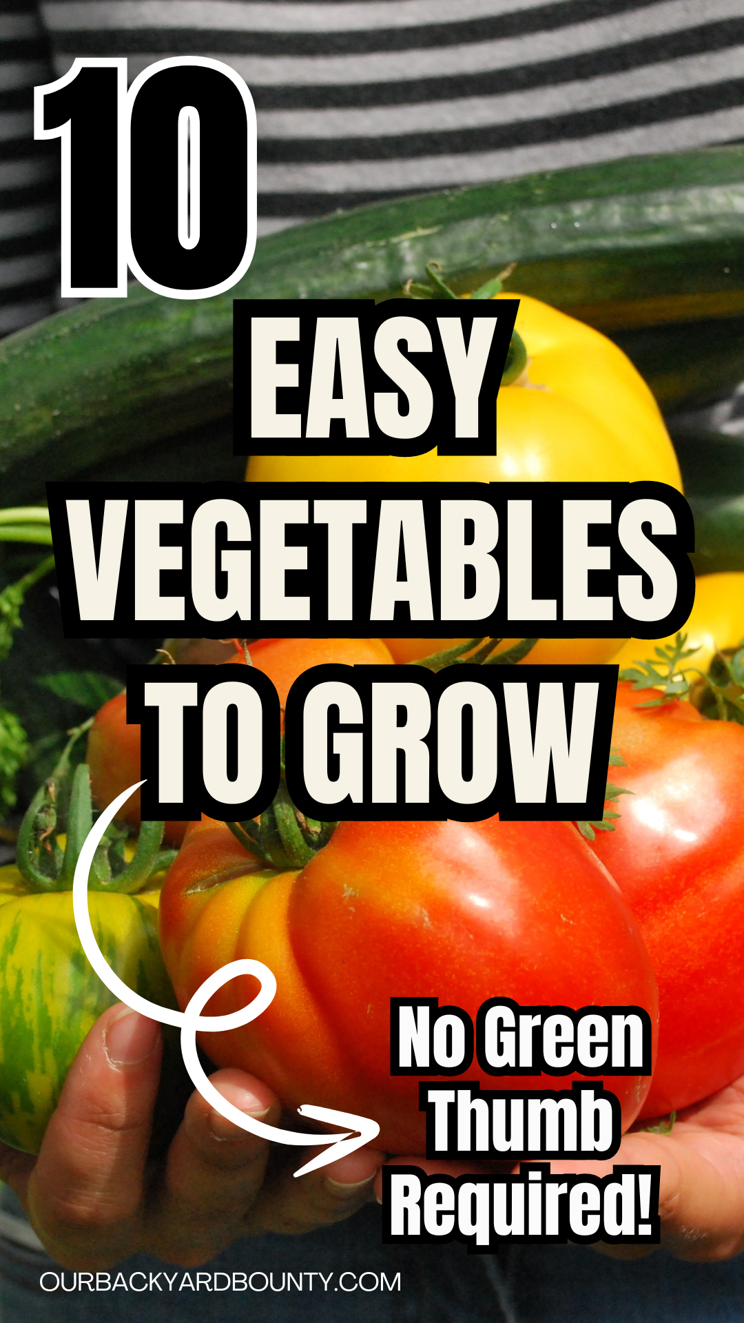 Easy Vegetables to Grow: A Beginner's Guide to a Thriving Garden
