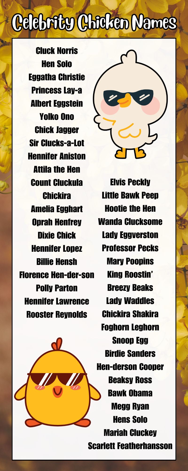 Funny Chicken Names: 200 Hilarious Ideas for Your Backyard Birds