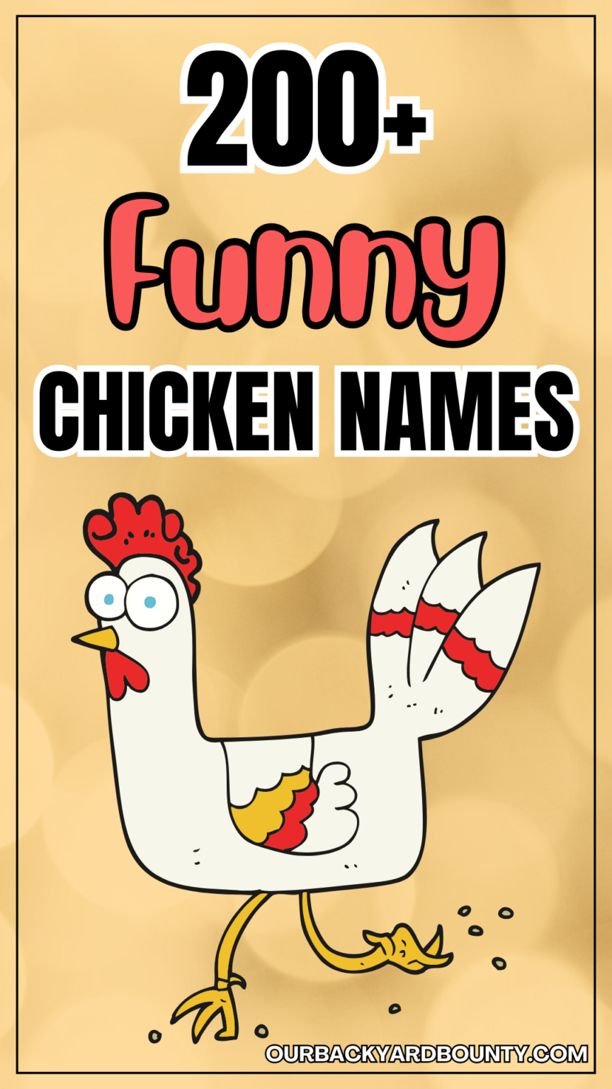 Funny Chicken Names: 200 Hilarious Ideas for Your Backyard Birds