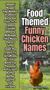 Funny Chicken Names: 200 Hilarious Ideas for Your Backyard Birds