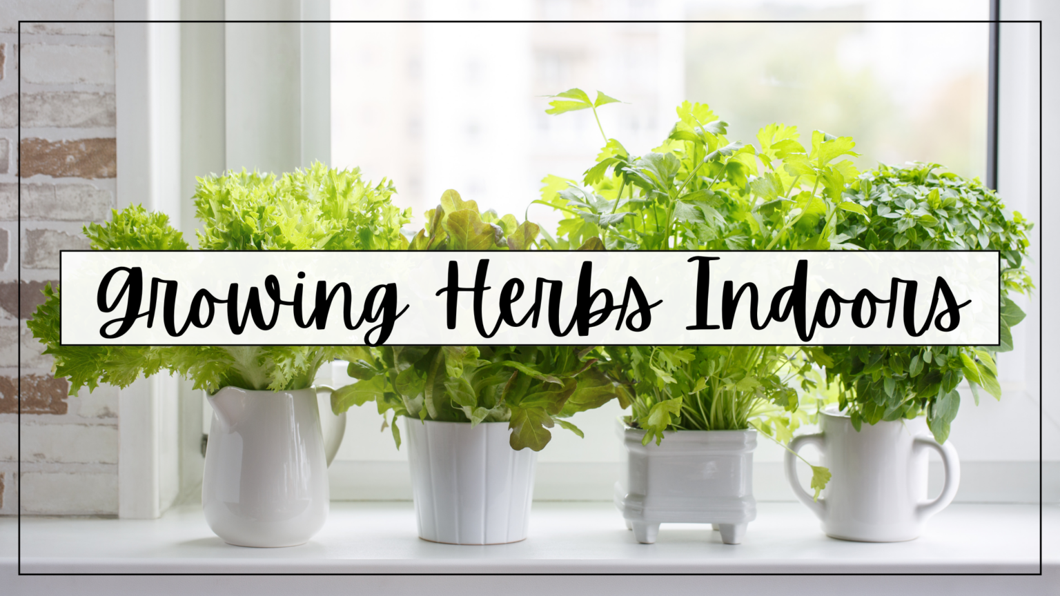 Growing Herbs Indoors - Best Herbs To Grow Indoors