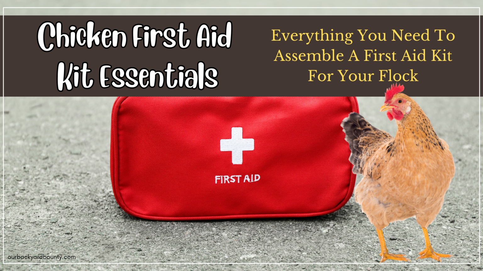 Ultimate Chicken First Aid Kit: What You Need For A Healthy Flock